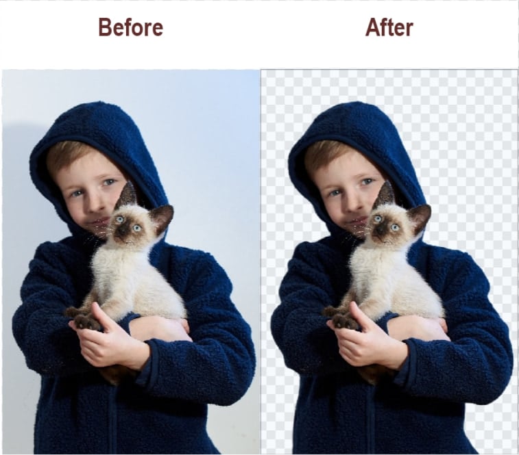 Top 10 Best Transparent Image Editor in 2022